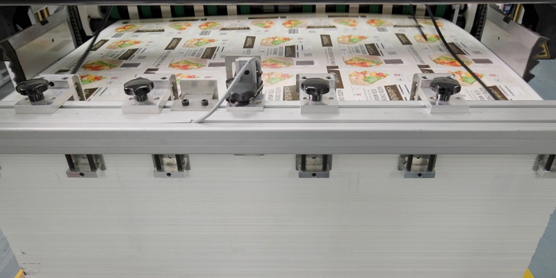 SpeedSet Orca – Printing